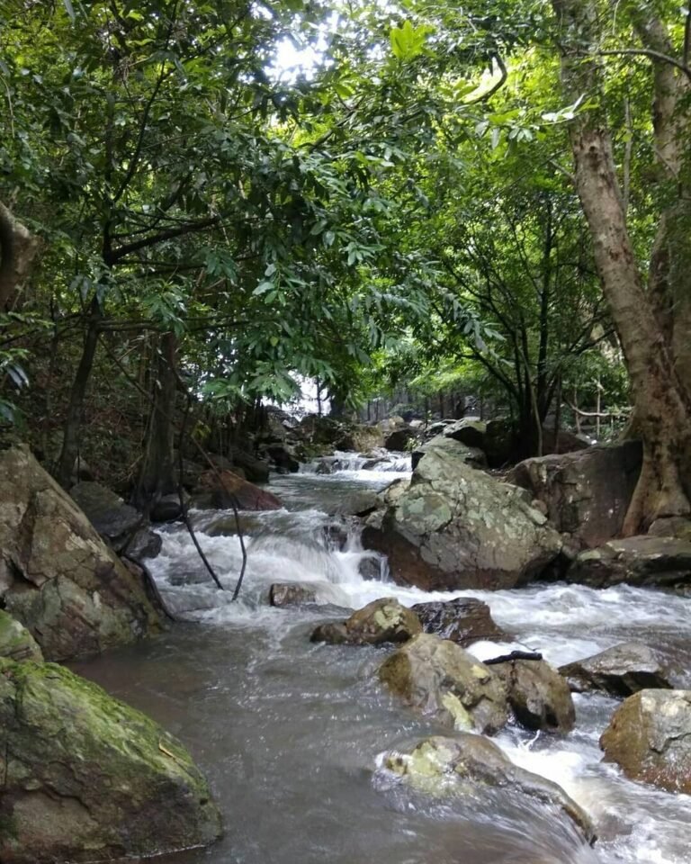 Deojhar Waterfall: How to Reach, Best Time, Tips Before You Visit, Map ...