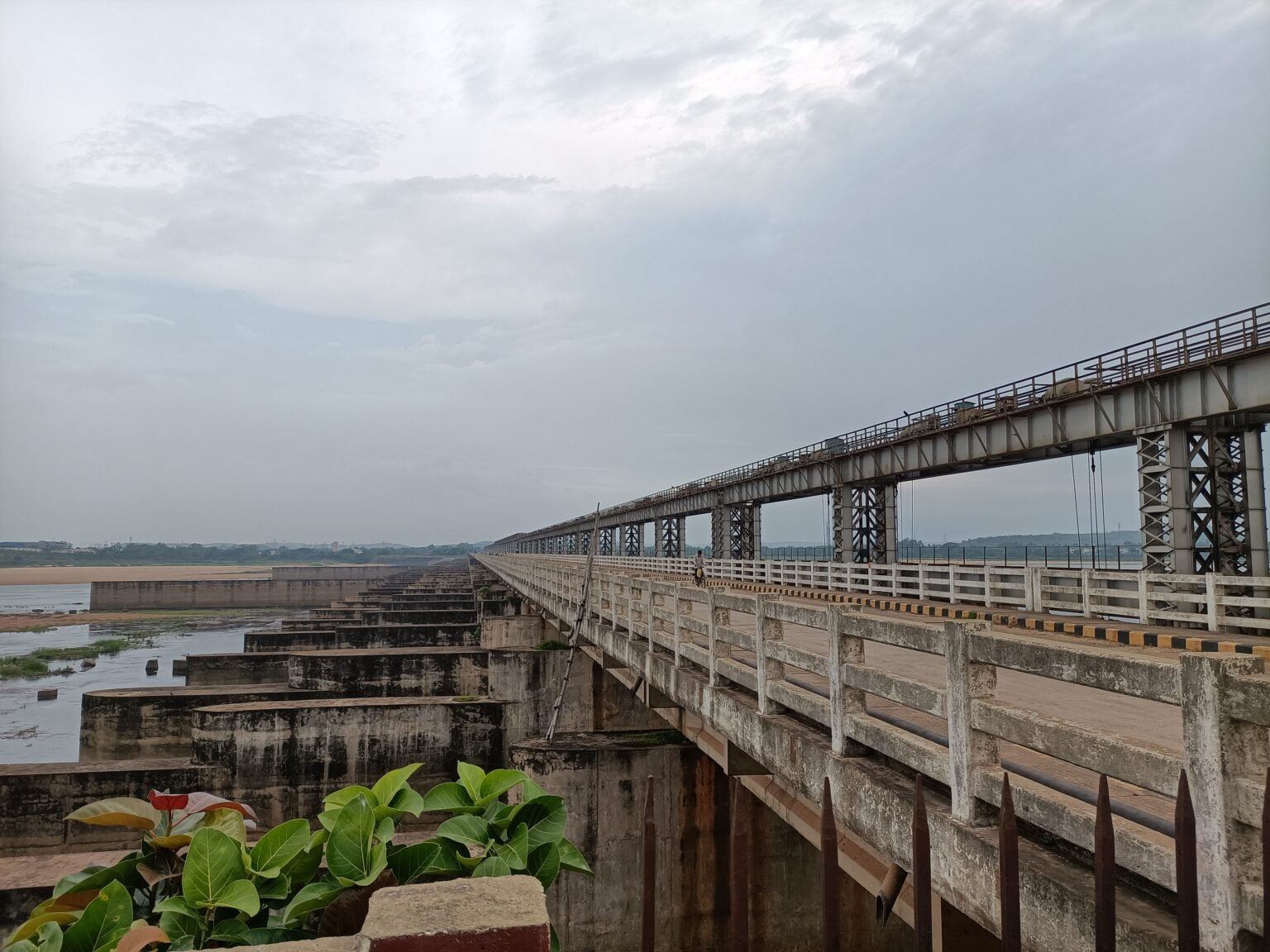 Naraj, Cuttack – The Hidden Ecosystem in the City | eBhubaneswar